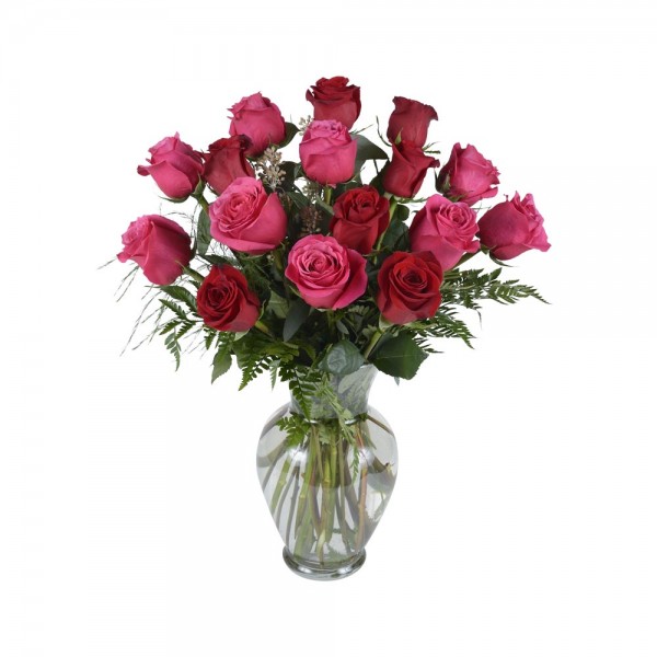 Un magnifique bouquet de 16 roses de couleur rouge et rose qui feront ...